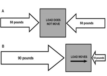 Orthotic Management Of The Distal Radioulnar Joint (DRUJ)